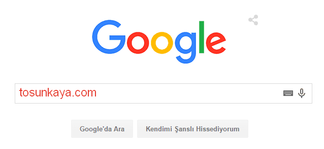 Google Logosunun Tarihçesi Doodle Oldu - Google Logosunu Yeniledi ...